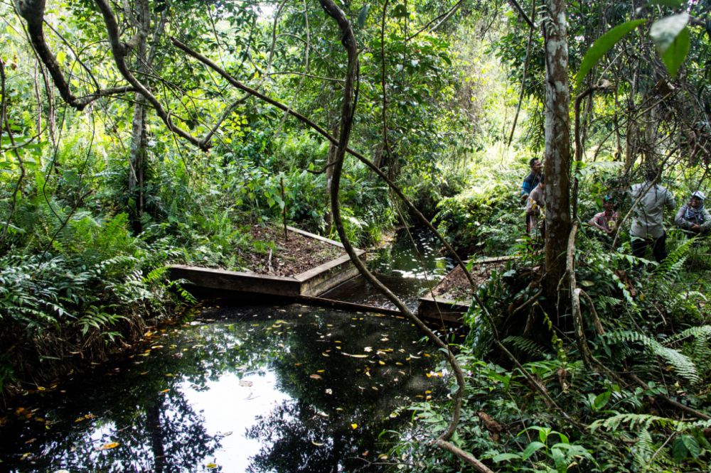 Rencana Aksi Kelola Lahan Gambut Sungai Buluh